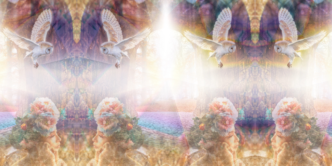 Oracle Decks & Journals Publisher – Muse Oracle Press Pty Ltd